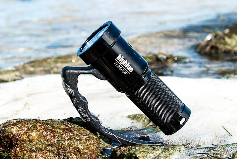 Big Blue Lights – Blue Water Hunter